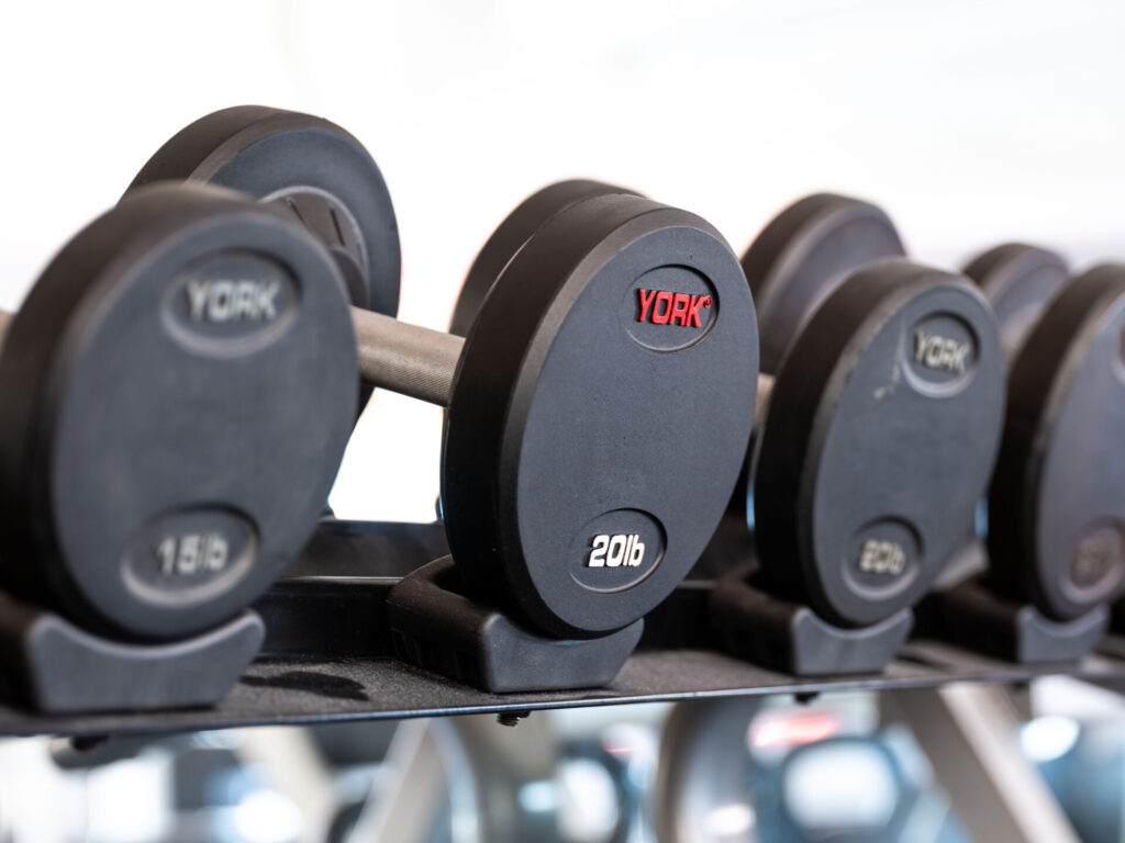 Pro Style Dumbbell Set York Barbell