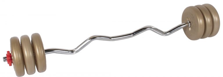 Pro Cast Iron Dumbbell / Barbell Spinlock Set - York Barbell