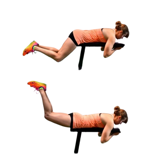 Ten Creative Ways to Use Your Bench - York Barbell